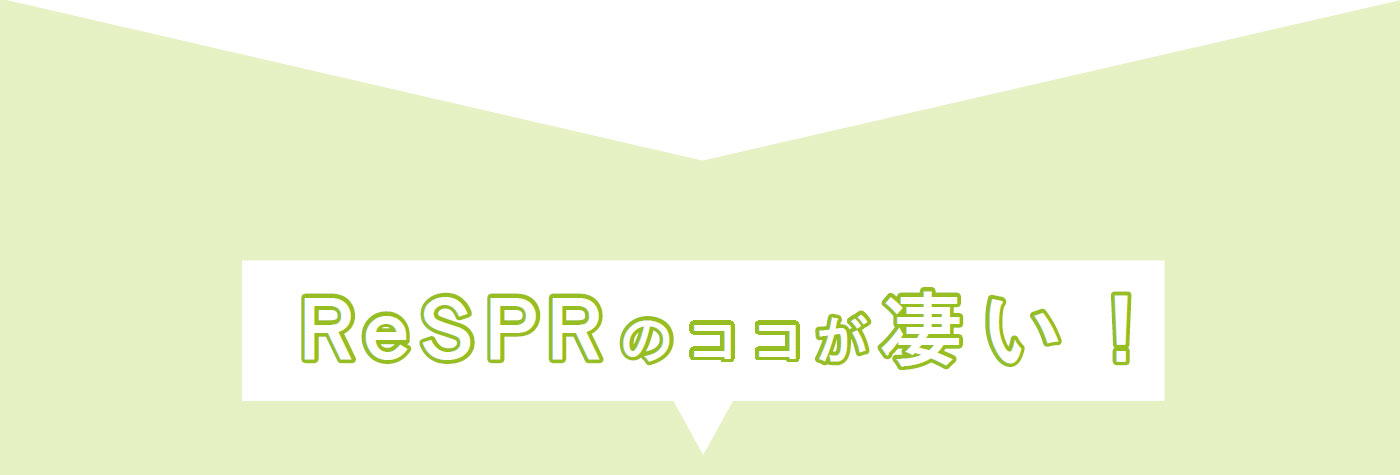 ReSPR | レカムジャパン | RECOMM JAPAN